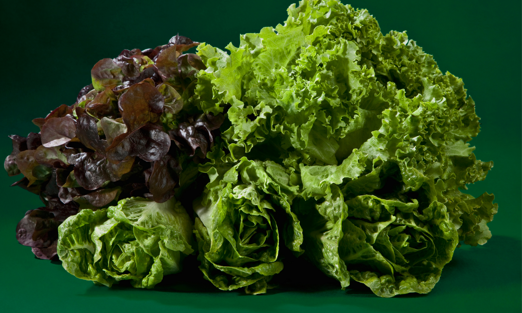 What Are Power Greens? Benefits, Uses, and More | Power Greens for Easy ...