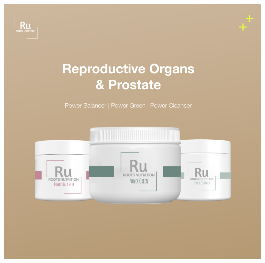 Power Cleanser for Digestive Rejuvenation